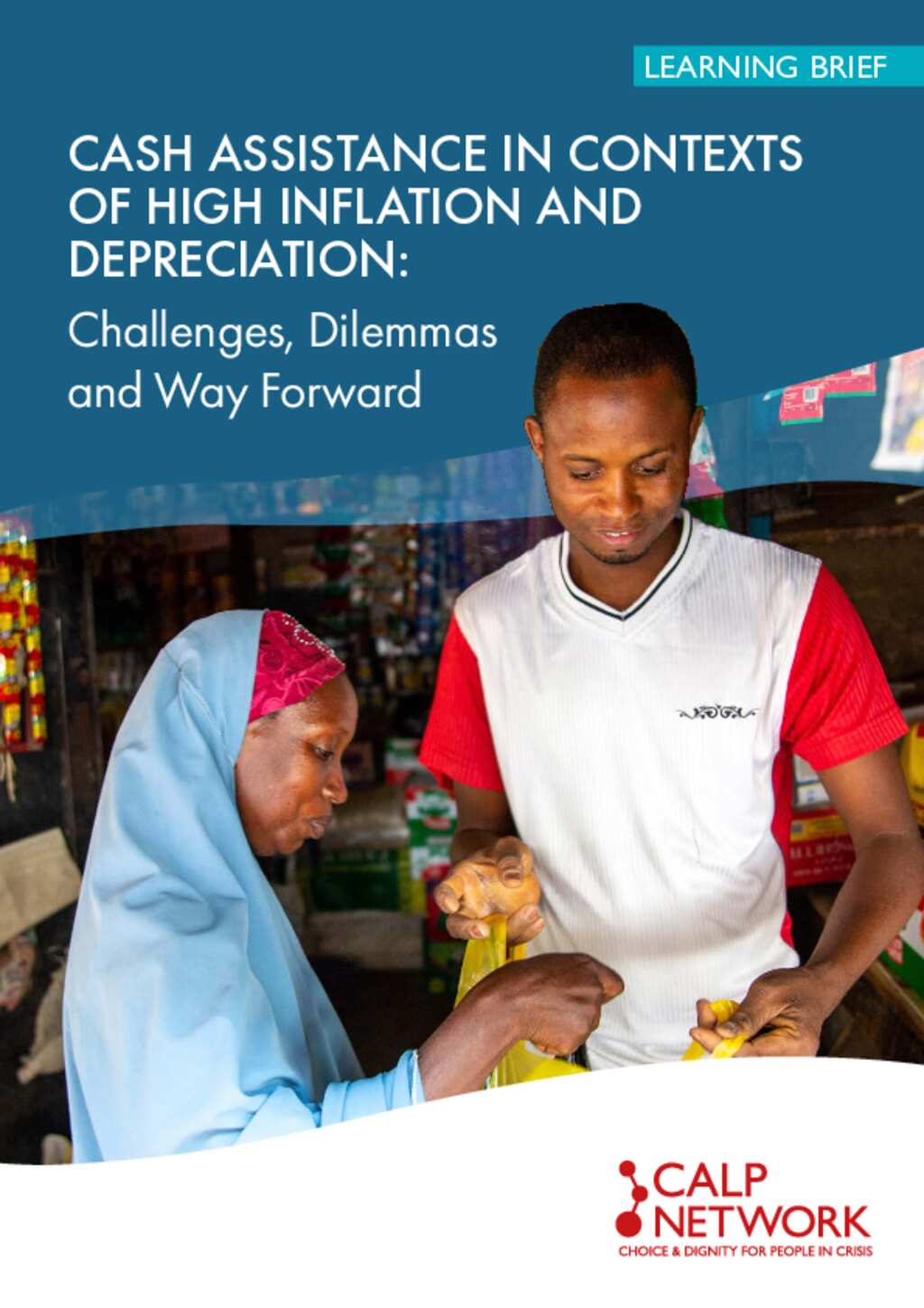 Document - CaLP - Adapting Cash Programming to Inflation, Depreciation ...