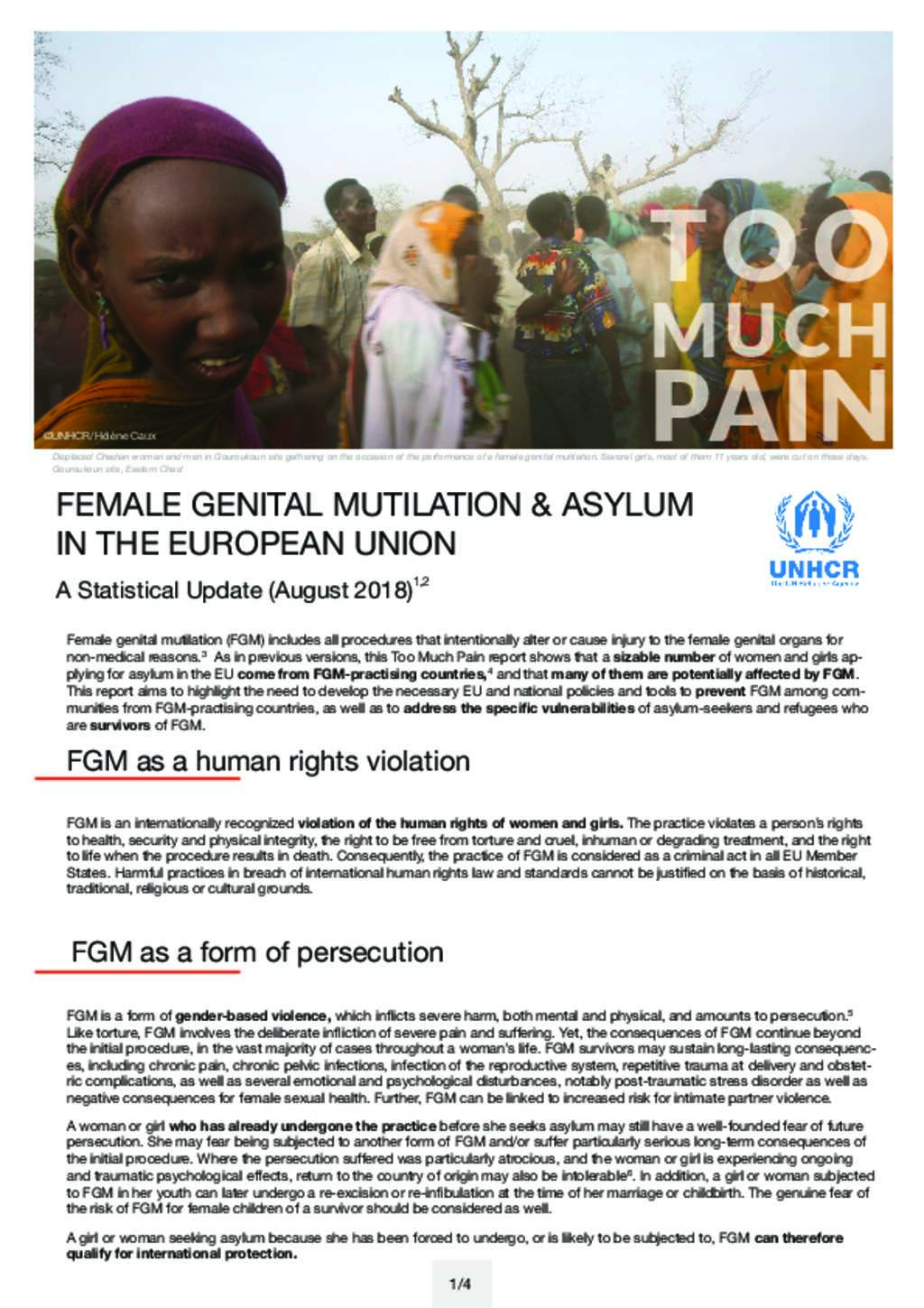 Document - Too Much Pain - Female genital mutilation and asylum in the ...