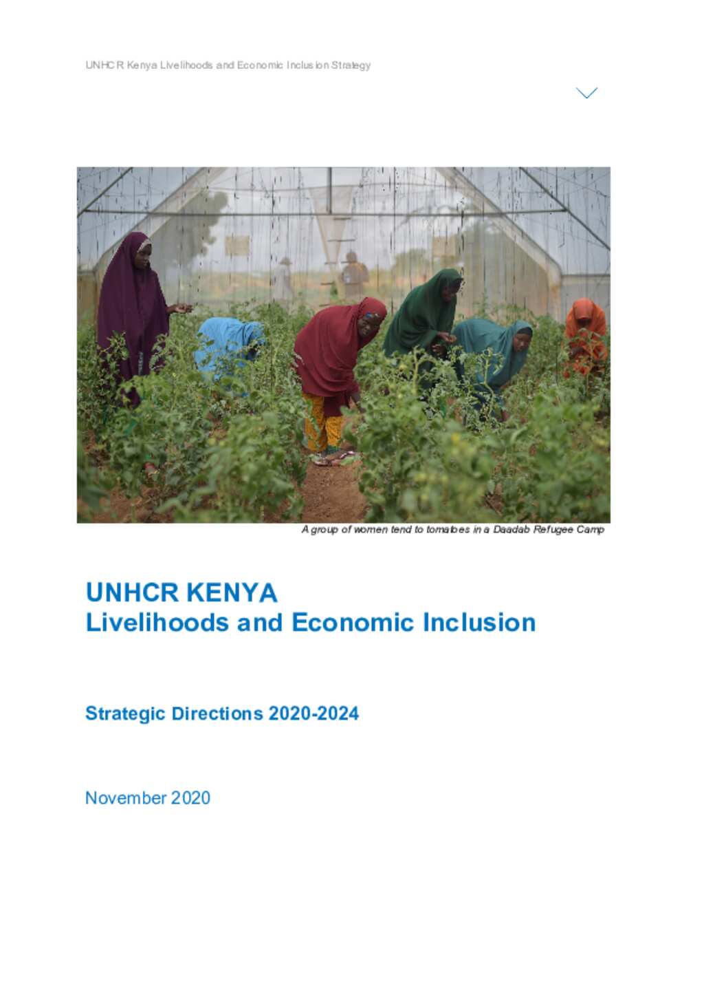 Document Unhcr Kenya Livelihoods And Economic Inclusion Strategy