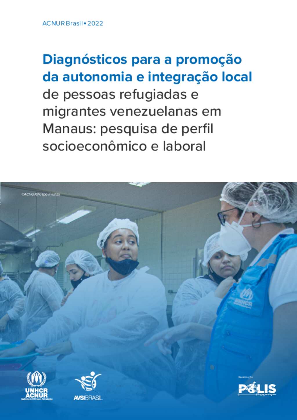 Document - UNHCR Brazil - Manaus Socioeconomic Survey [Summary] [PT]