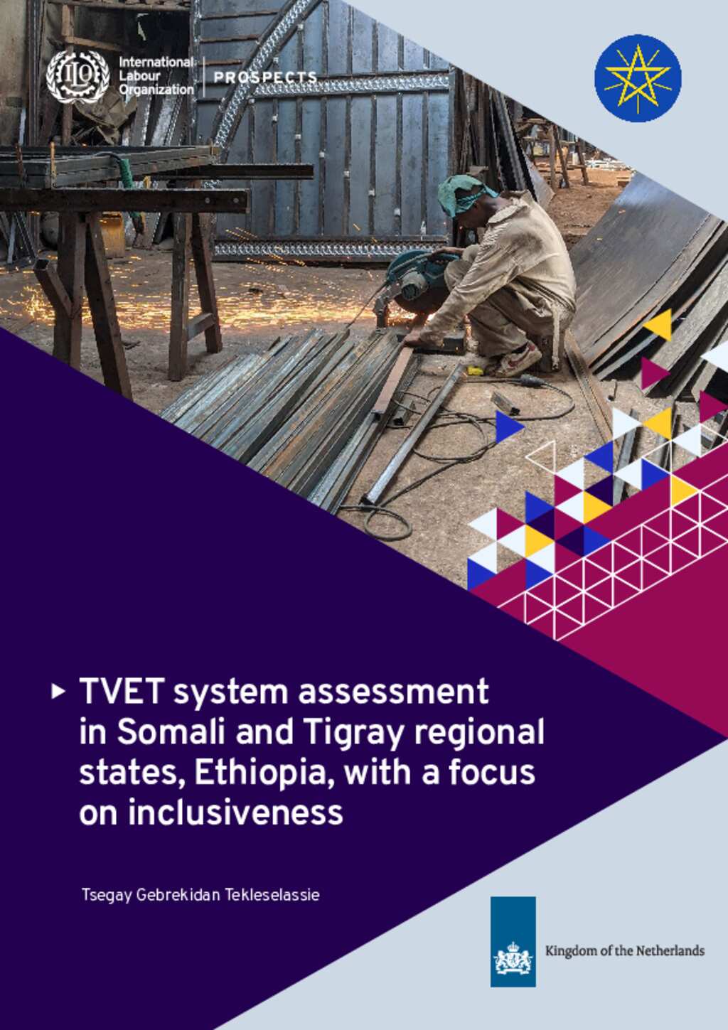 Document ILO TVET System Assessment In Somali And Tigray Regional document-ilo-tvet-system-assessment-in-somali-and-tigray-regional