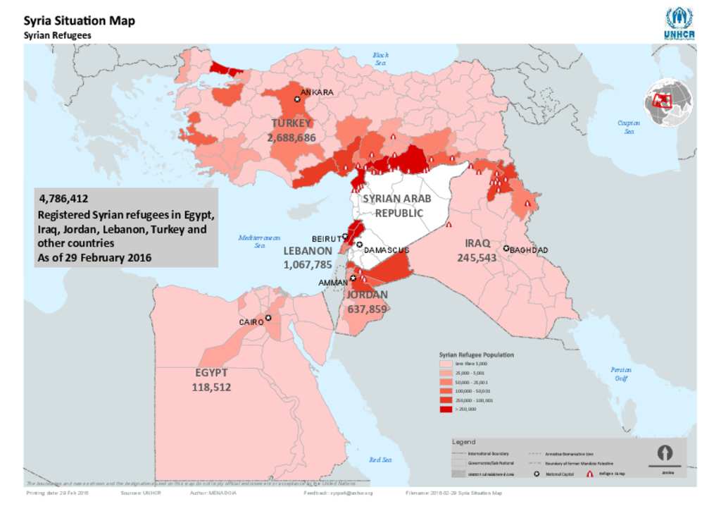 Document - Syria Situation Map as of 29 Feb 2016
