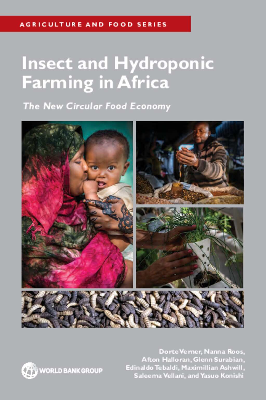 Document - WB - Insect and Hydroponic Farming in Africa - December 2021
