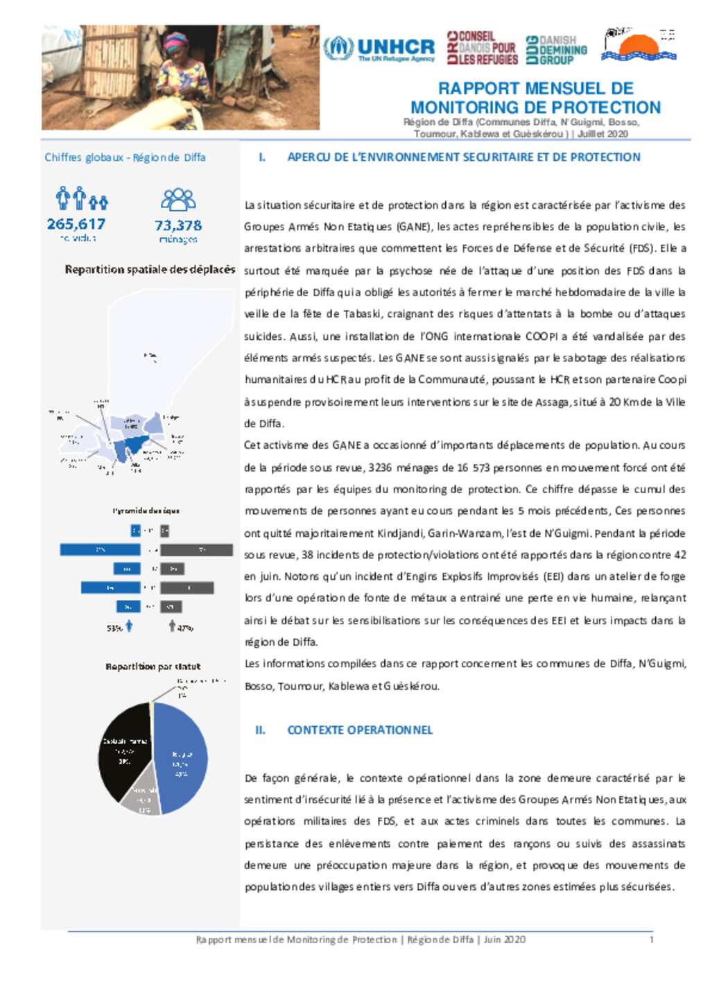 Document - UNHCR Niger, Diffa SO - Rapport Mensuel Monitoring de ...