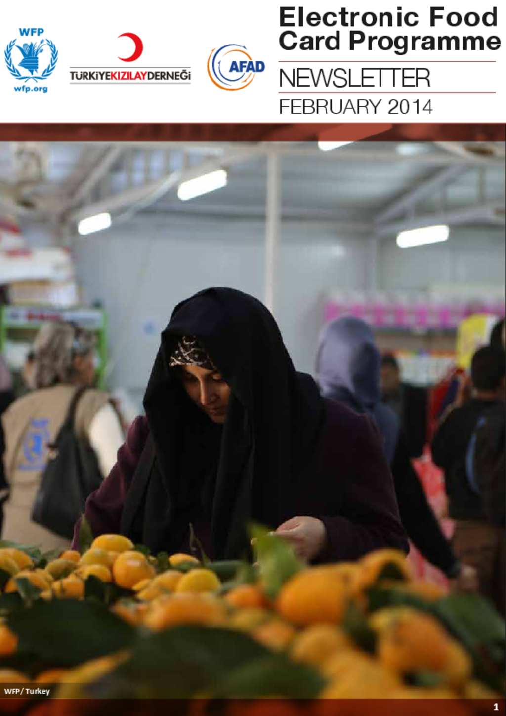 Document - WFP News Letter - February 2014