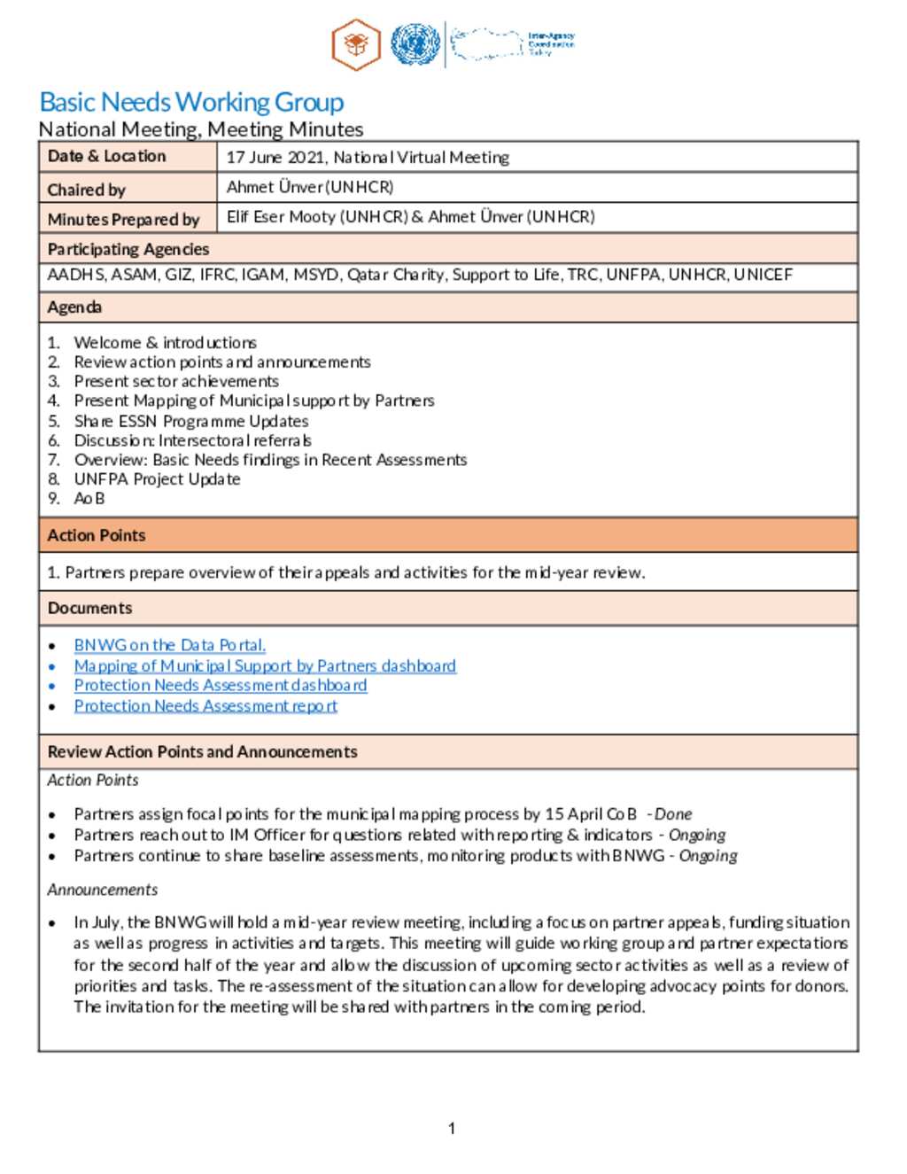 Document - Turkey: Basic Needs Working Group Meeting Minutes - 17 June 2021
