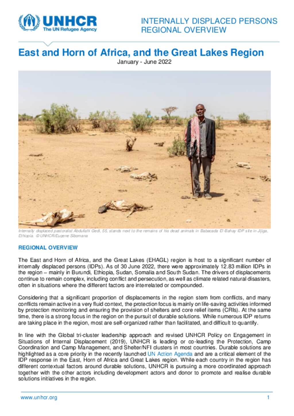 Document - UNHCR - IDP Regional Overview - June 2022