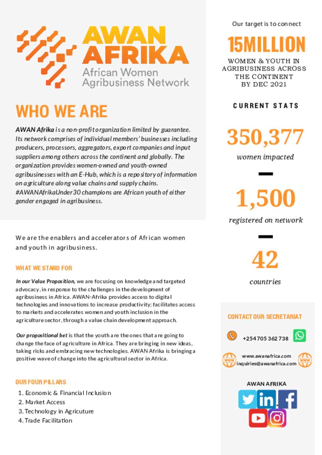 Document - AWAN Afrika - Brief Overview