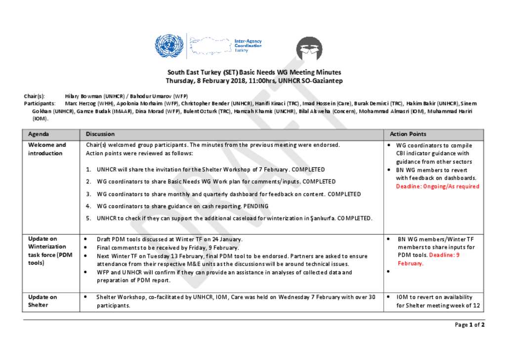 Document - Southeast Turkey: Basic Needs WG Meeting Minutes - 8 ...