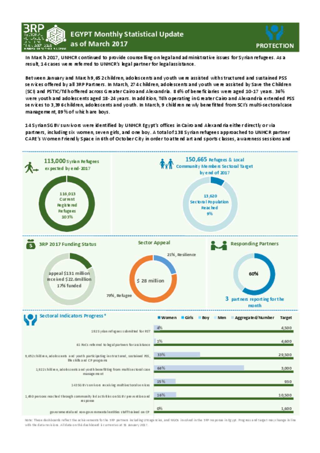 Document - EGYPT 3RP Protection March 2017 DB