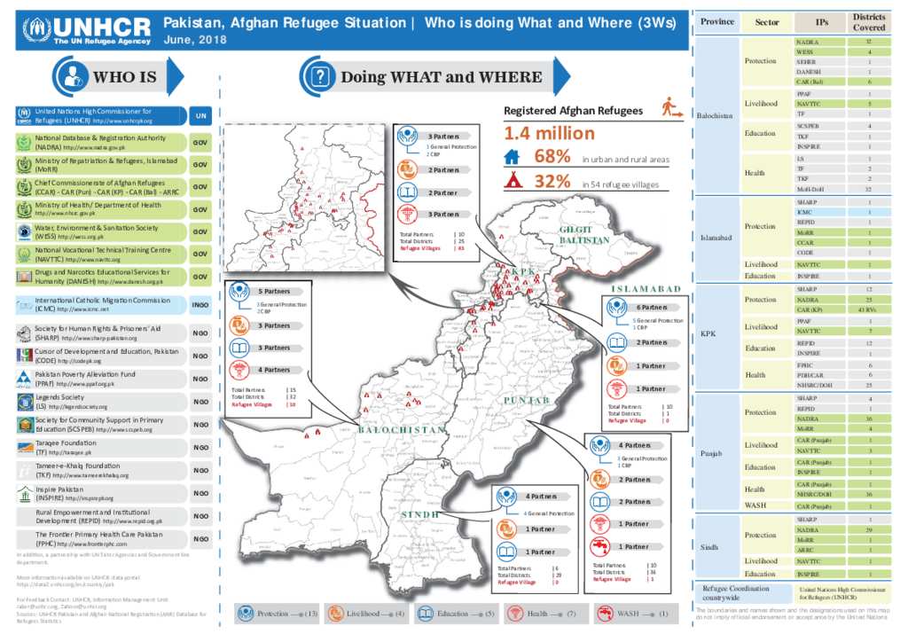 Document - Pakistan - Who's doing What Where (3Ws) Info-graphic June 2018