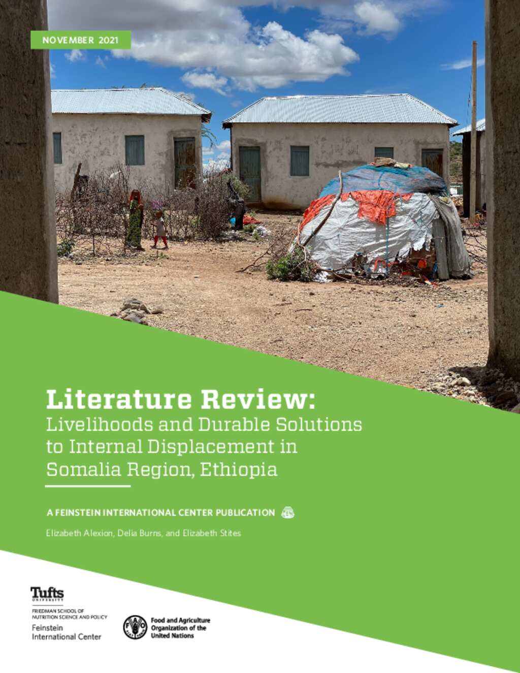 Document - Tufts University - Literature Review: Livelihood Components ...