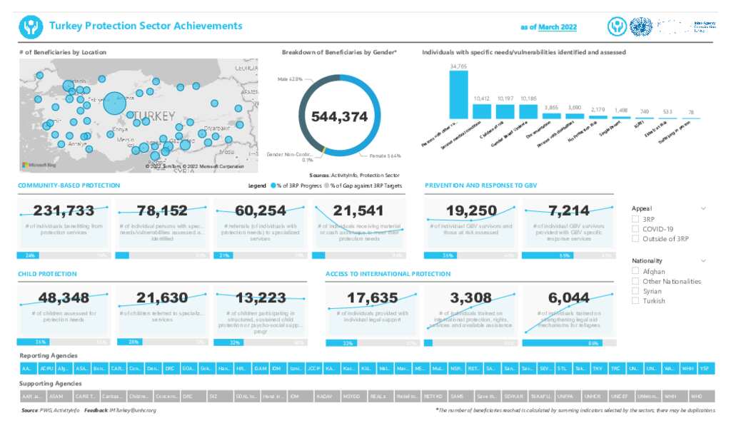 Document - Turkey: Protection Sector Monthly Dashboard - March 2022