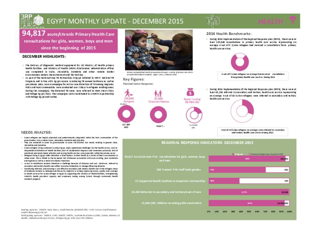 Document - EGYPT-Health 3 RP December 2015 DB