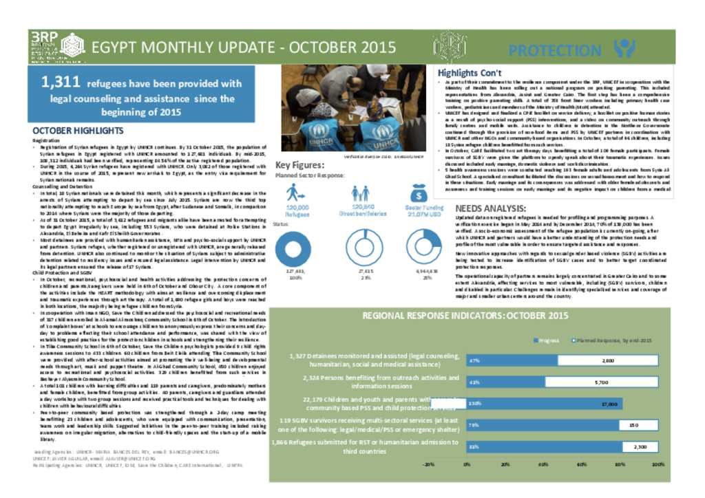 Document - EGYPT -Protection 3RP October 2015 DB