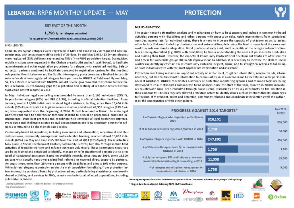 Document - Interagency_Protection_Lebanon_ RRP6 monthly dashboard_15/06 ...