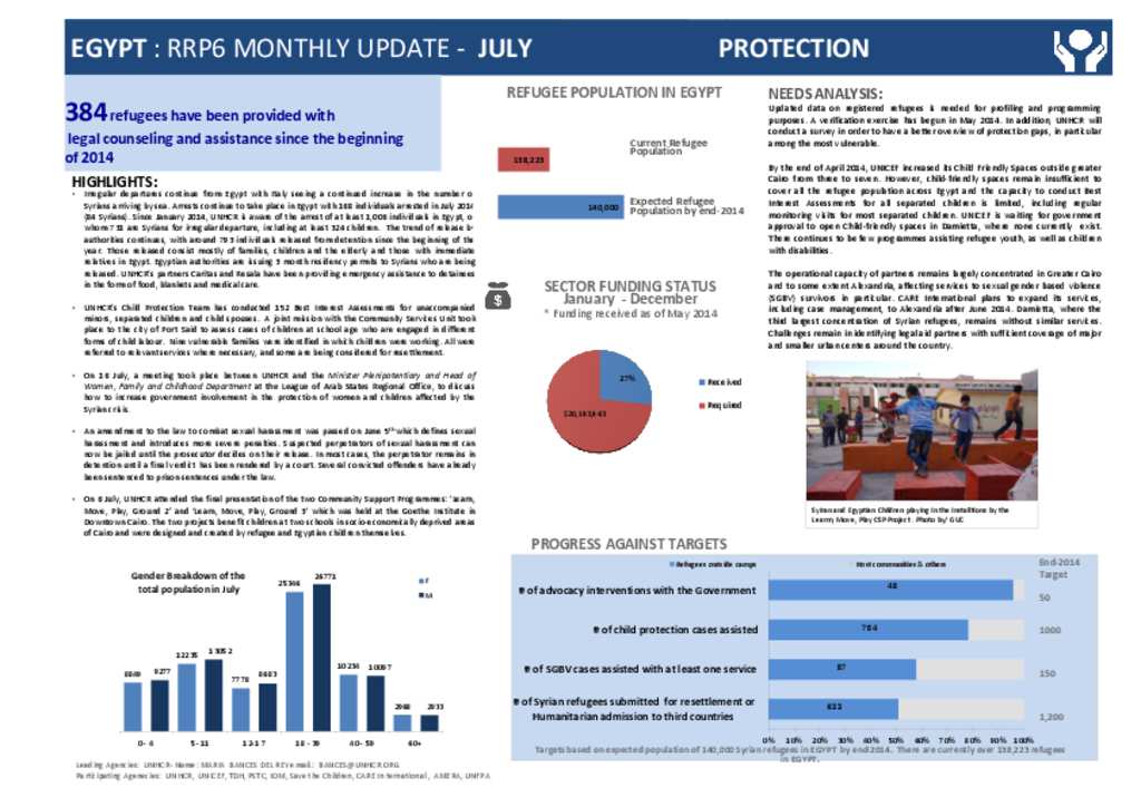 Document - Egypt Protection July 2014 dashboard