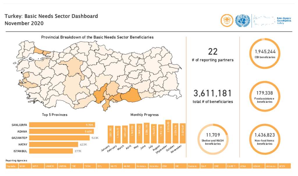 Document - Turkey: Basic Needs Sector Monthly Dashboard - November 2020
