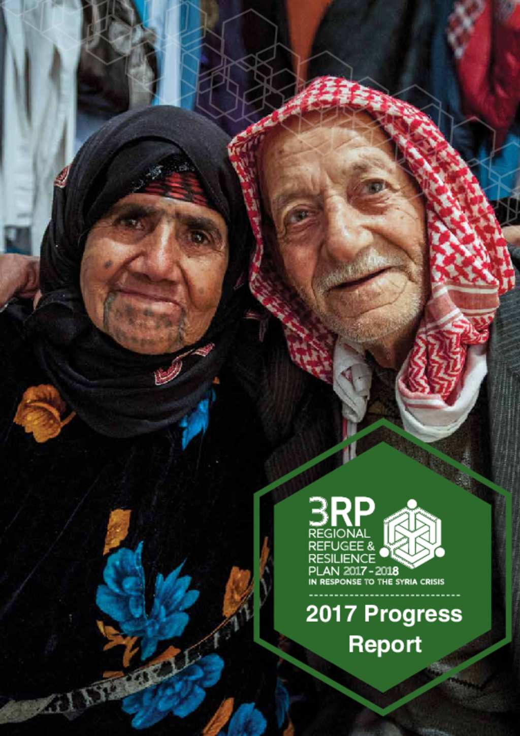 Document - 3RP 2017 Progress Report