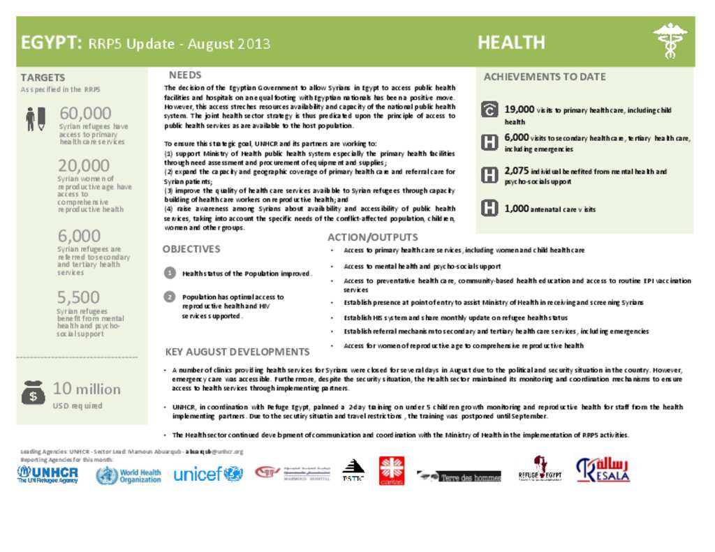 Document - Egypt Health RRP5 August Dashboard