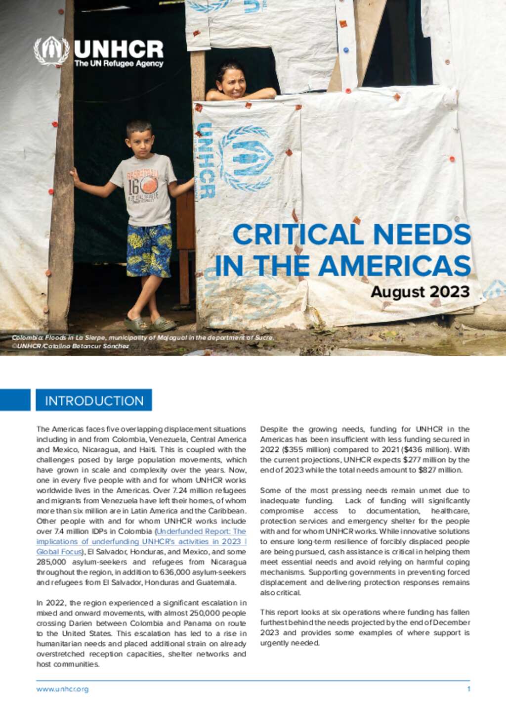 Document - Critical Needs in the Americas | August 2023