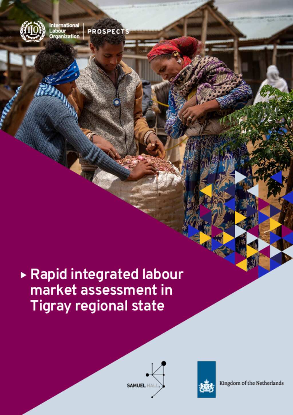 Document - ILO - Rapid integrated labour market assessment in Tigray ...