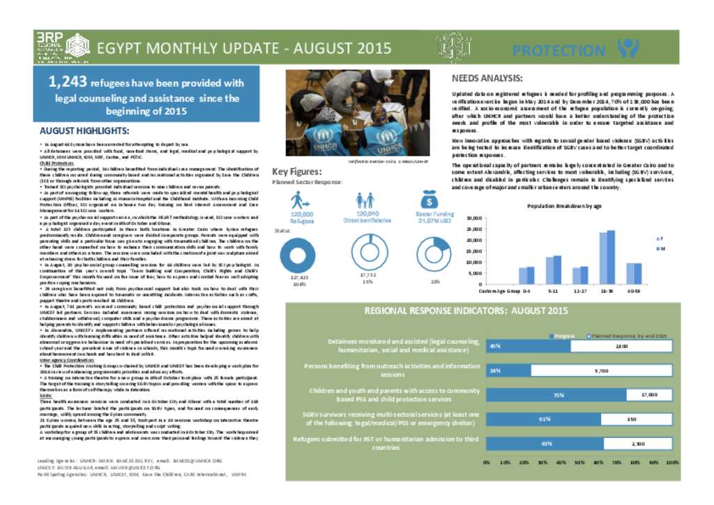 Document - EGYPT Protection Dashboard August 2015
