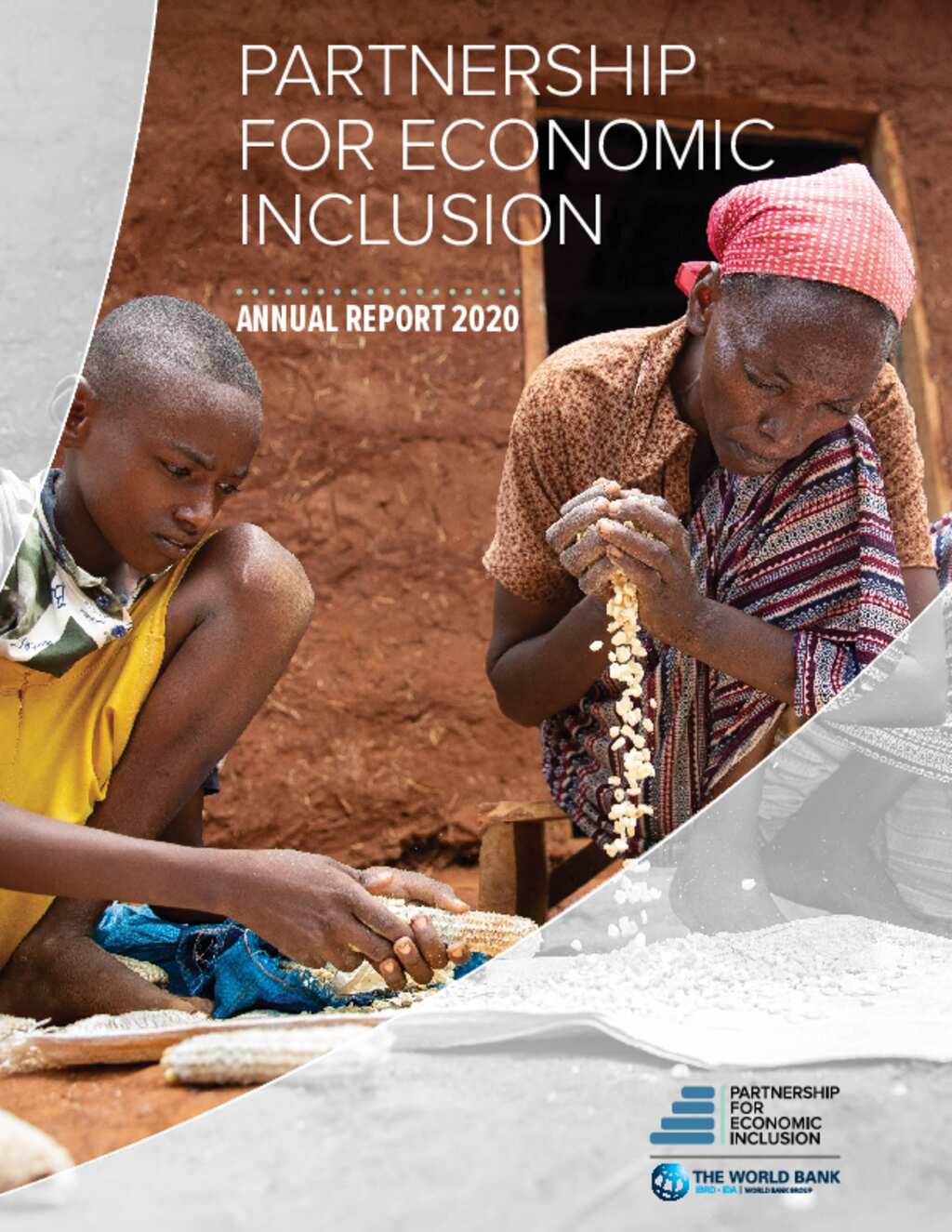 Document - Partnership for Economic Inclusion Annual Report 2020